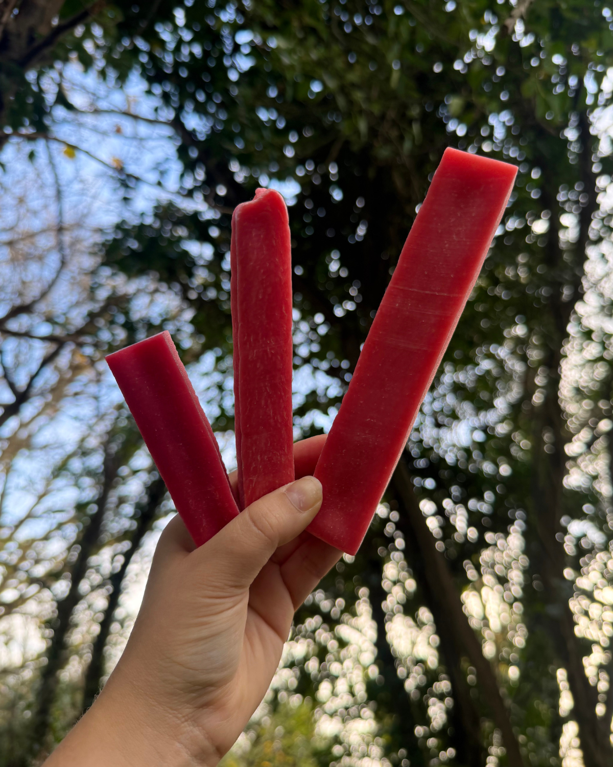 Paw & Co Pantry Yak Bars - 8 Flavours – Pawthena